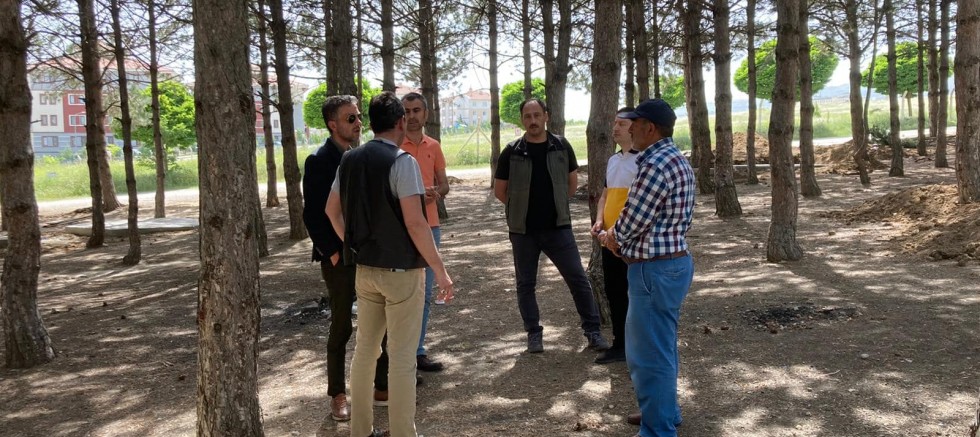 ÖNCE VATAN MESİRE ALANI YENİLENİYOR - Merzifon Bilgi Gazetesi ÖNCE VATAN MESİRE ALANI YENİLENİYOR - Merzifon Bilgi Gazetesi